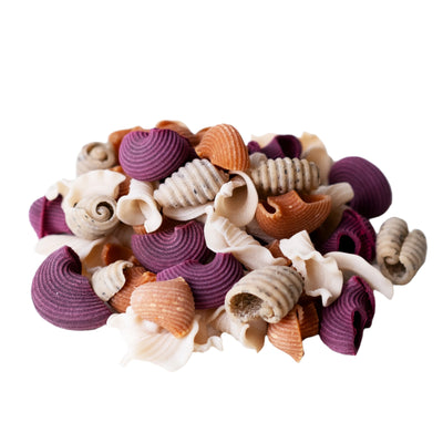 The Source Bulk Foods United Kingdom – The Source Bulk Foods UK