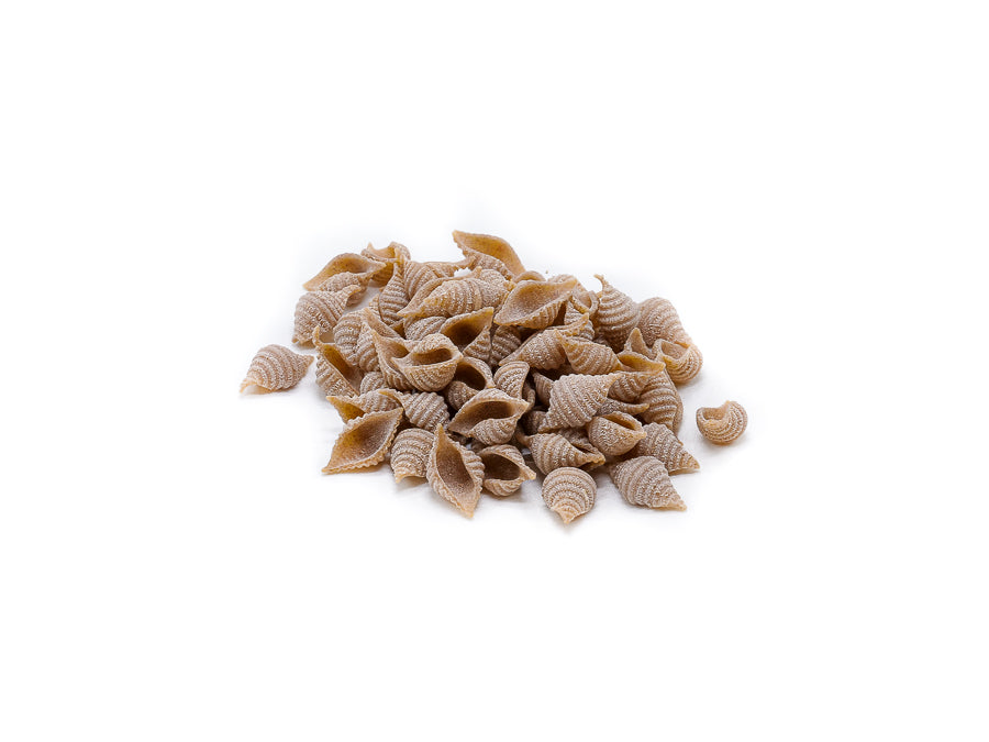 Pasta Shells Spelt Organic British – The Source Bulk Foods UK